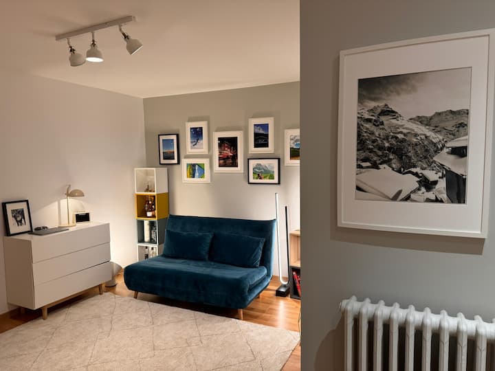 Charming 1 Br Apt Gva Heart - Ginebra