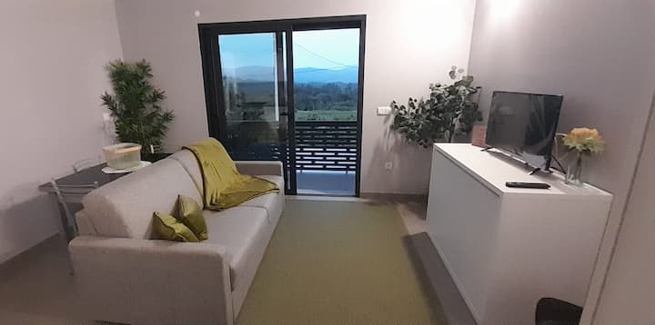 Olive Studio #1- Pool&jacuzzi - Sever do Vouga