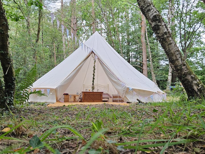 Violet Bell Tent - Ashburton