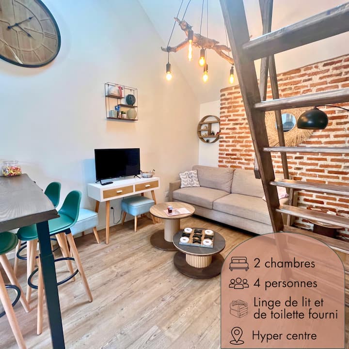 Duplex 2 Chambres Hyper Centre De Blois - ibis budget Blois Centre