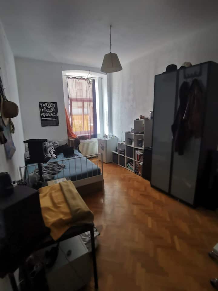 Cosy Room In Student Shared Flat - Vienne