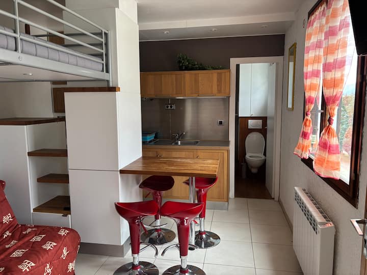 Studio Au Pied Des Pistes - Ancelle