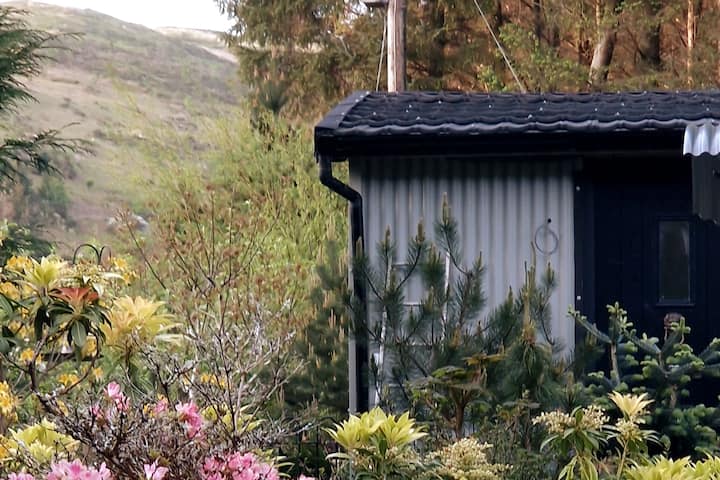 Froggy Bottom Cabin Retreat - Machynlleth
