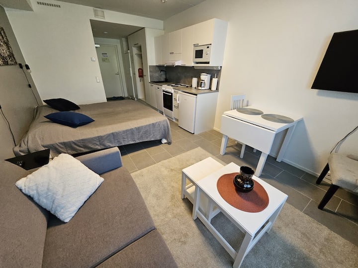 Levi Centre Studio Apartment - Kittilä