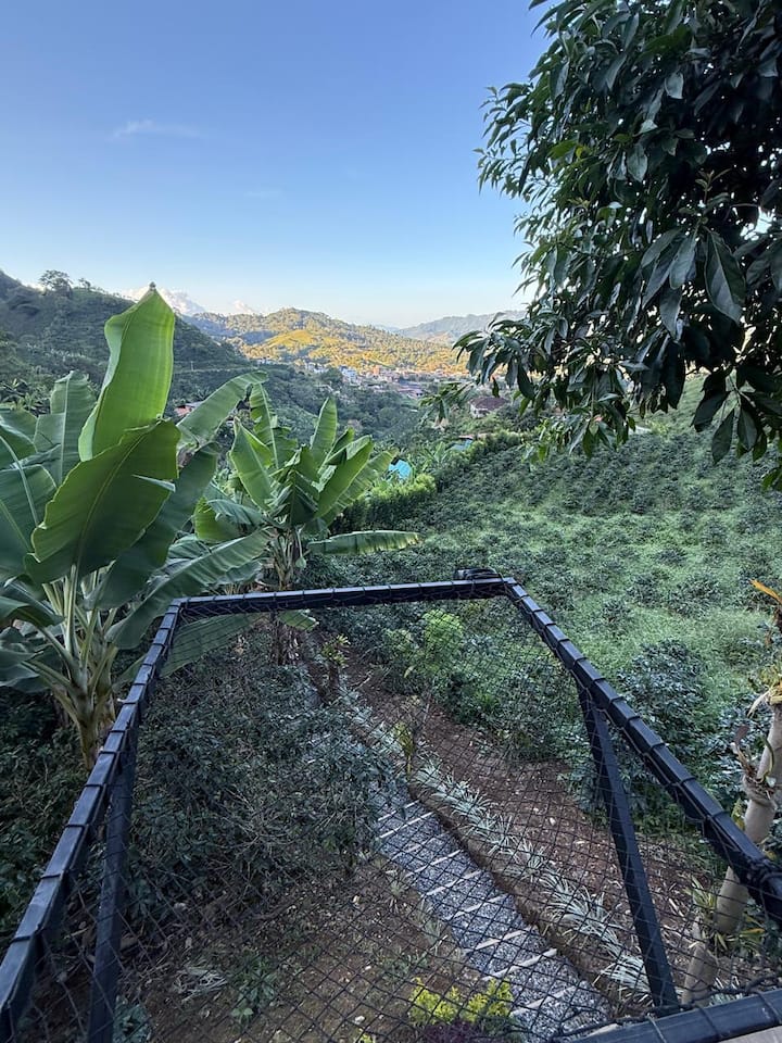 Glamping Montaña Del Café - Andes