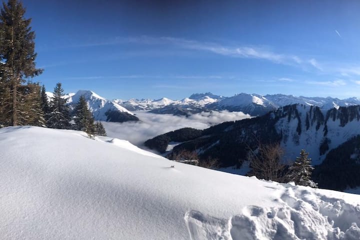 Comfy Flat W/ Ski Piste Views - Les Gets