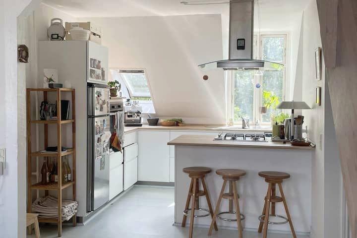 Bright Rooftop 2 Floor Apartment - Copenhagen
