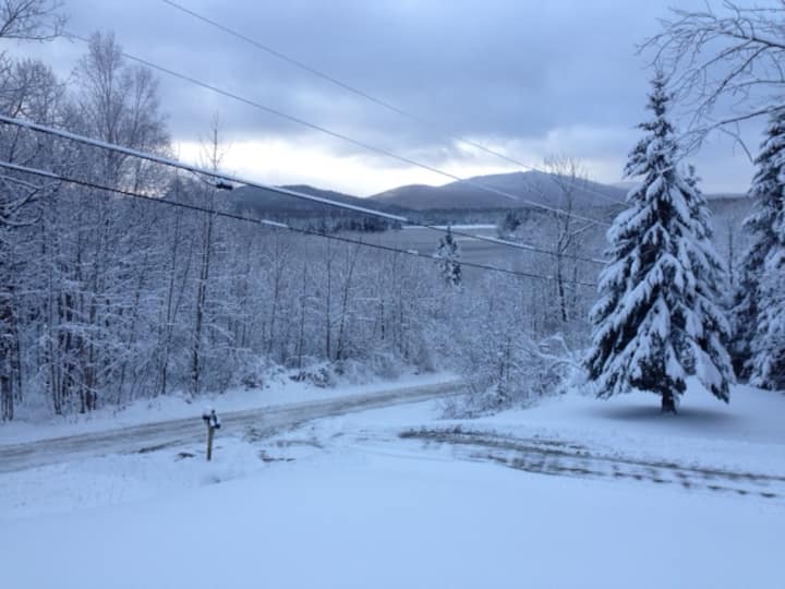 Spring In The Green Mountains/pet Friendly-woof - Vermont