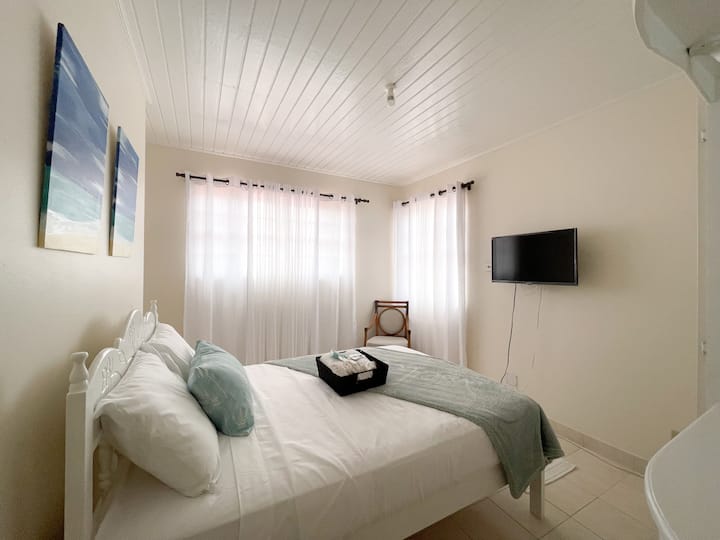 Spacious 2 Bedroom House With Ocean View - Barbados