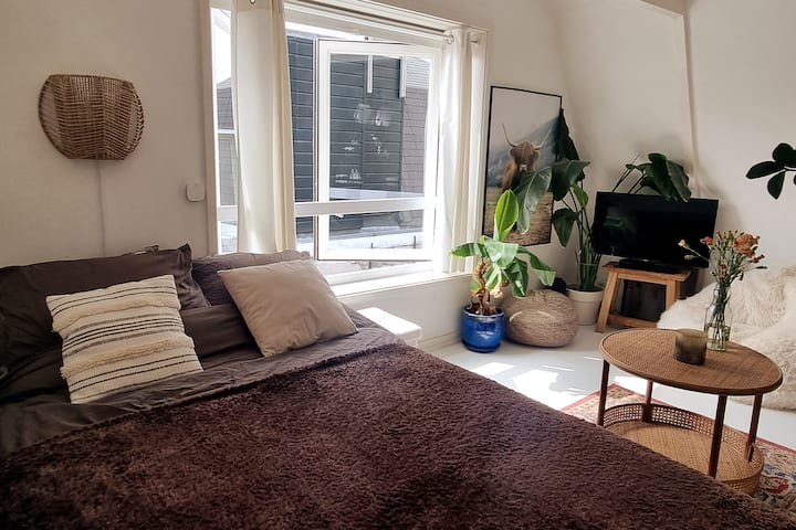 Studio Near Vondelpark - Amsterdam