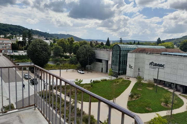 Appartement ÉPinal - Épinal