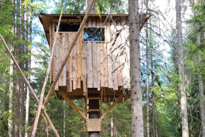 Vildmarksupplevelse I Trädkoja - Leksand