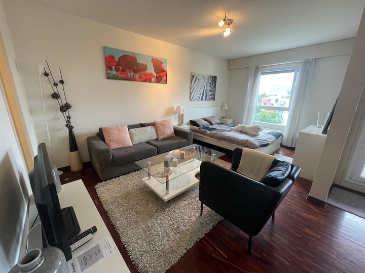 Furnished Apartment Geneva - 1 Bedroom Studio - Genebra