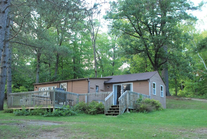 Cabin In Towering Pines On A Quiet Lake. Pets Ok! - Nevis, MN