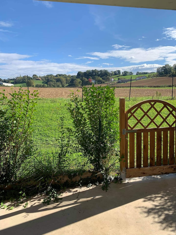 Charmant 2 Pièces Avec Terrasse - Sare