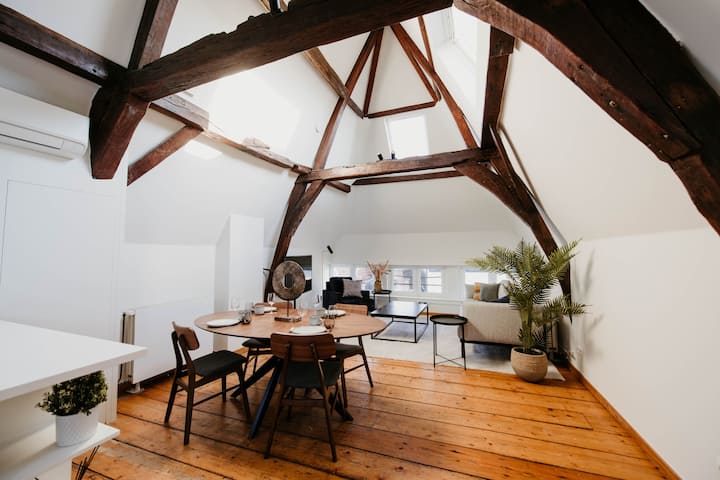 Gorgeous Duplex Apartment - Antwerpia