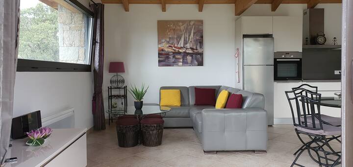 Maison  60 M2 Belles Prestations Piscine Jacuzzi - Lumio