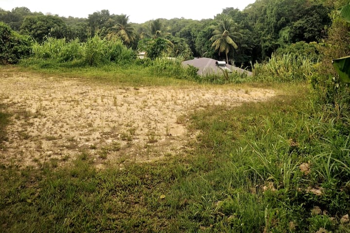 Emplacement De Tente Camping - Guadeloupe