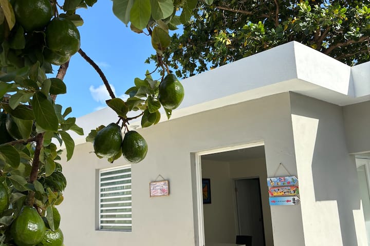 New! Aguacate Tropical Apartment - San Juan