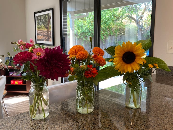 Quiet Sonoma Getaway - 30 Day Rental - Sonoma, CA