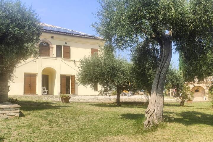 Casale Minù - Appartamento - Porto Sant'Elpidio