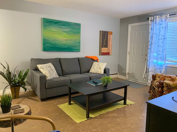 Entire Condo Suite Downtown -