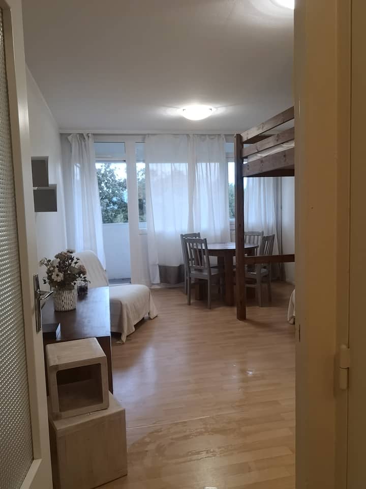Fully Renovated Studio Near To Geneva - Ferney-Voltaire