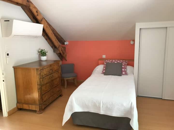 Chambre « Papillon »Climatisée , Jardin, Menage - Caluire-et-Cuire