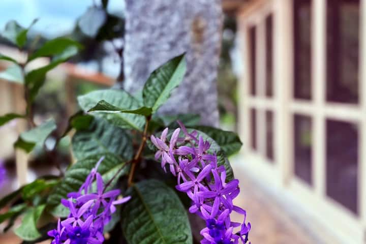 Experience Natures Luxury - Ramanagara