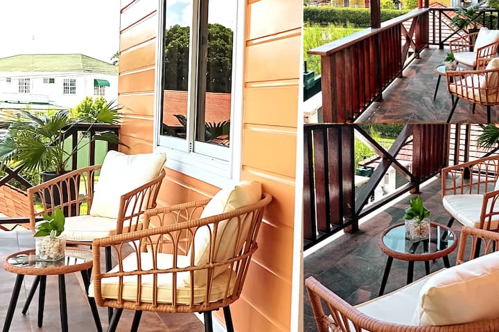 Dolfijn Studio's # 11 - Paramaribo