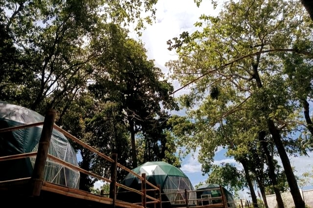 Bamboo Terrace Dome Tent with Sea View - Dome houses for Rent in Khao ...