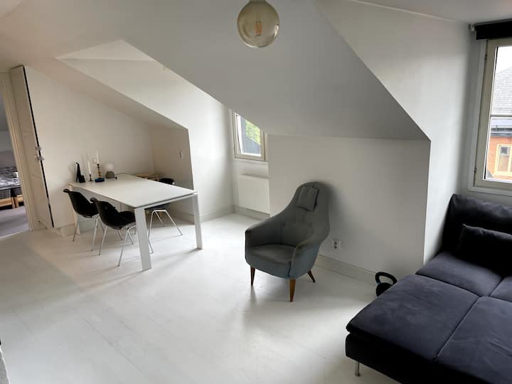 Unique Penthouse In Central Sofo - Stockholm