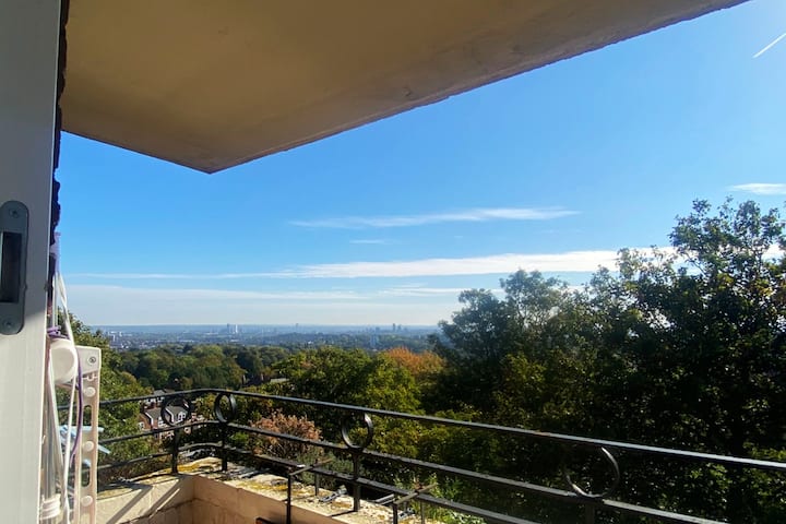 Leafy Top Floor Apartment, Views Over London. - Londres