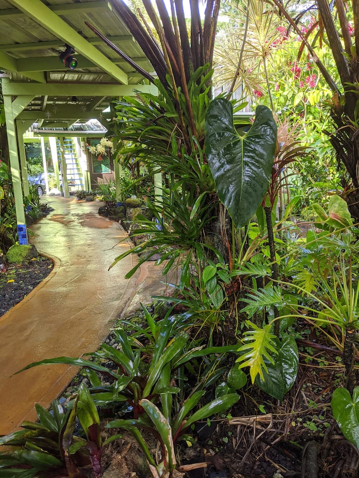 Rain Forest Apartment! - Pāhoa, HI