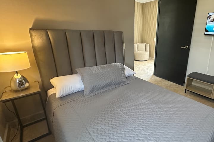 40 * Basic Convenient Suite By Usconsulate & Udem - Santa Catarina, México