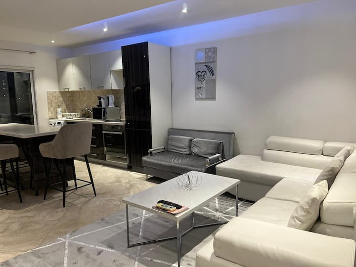 Beau 3p Face à La Seine 60m2 - Alfortville