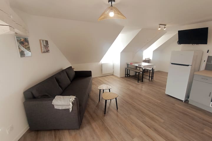 "Le Pau"wifi-spacieux-cosy - Hautes-Pyrénées