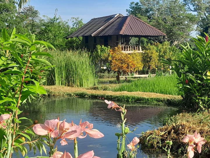 Camiguin Bali - Philippines