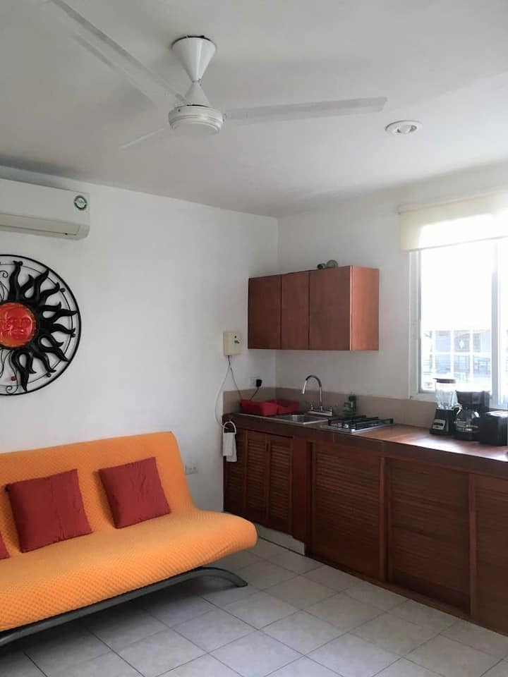 Spacious 1 Bedroom Apartment 12 Min Walk To Beach. - Playa del Carmen