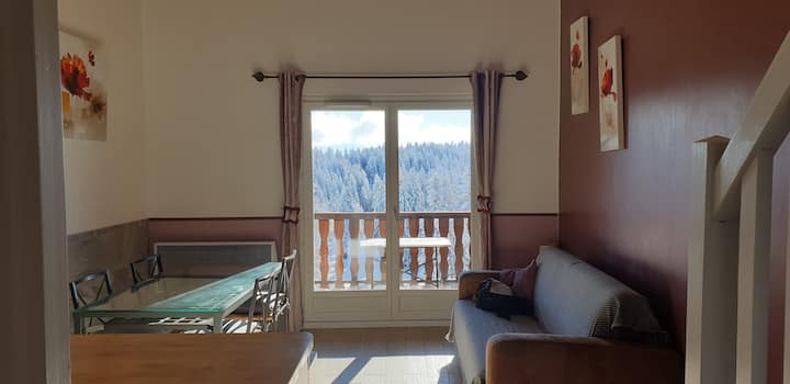 Le Revard - Spacieux Appartement En Duplex - La Féclaz