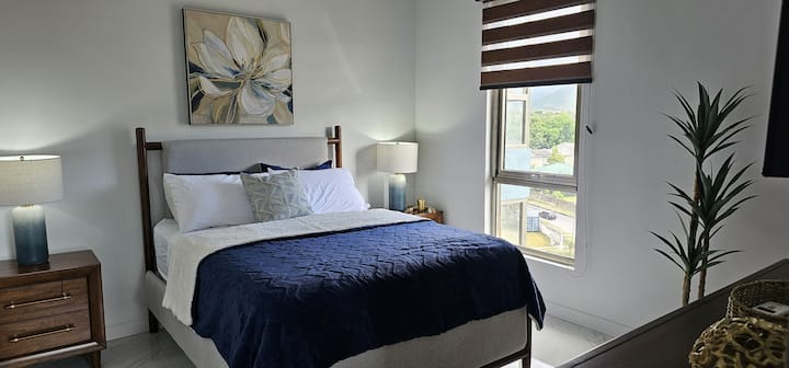 Vi S T A A Z U L- Kingston Views With Rooftop Pool - Kingston