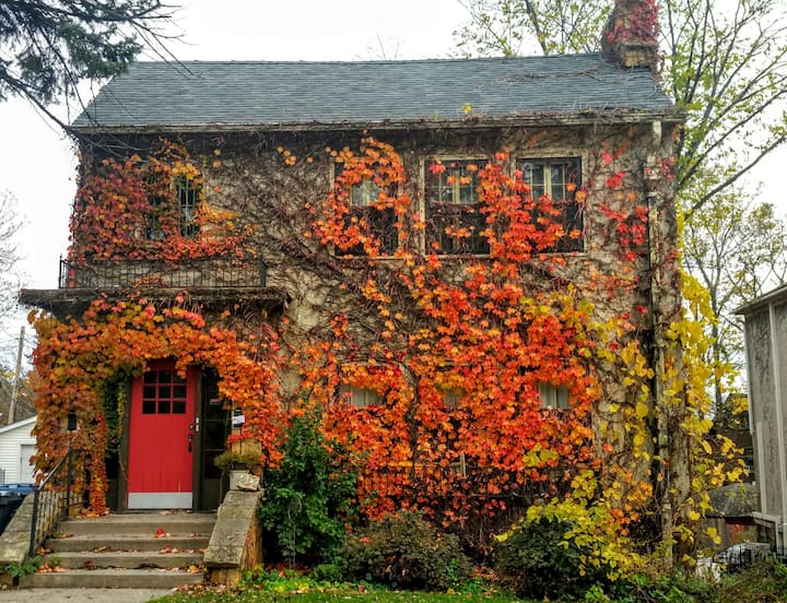 Charming Tangletown Main Flr Unit - 1 Blk To Creek - Minneapolis, MN