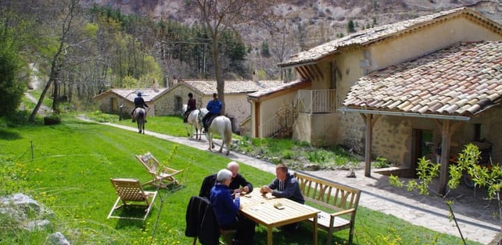 Gîte Provençal : La Miellerie Et Les Pins - Hautes-Alpes