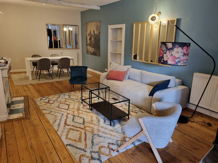 Charmant Appartement Au Cœur D'albi - Albi