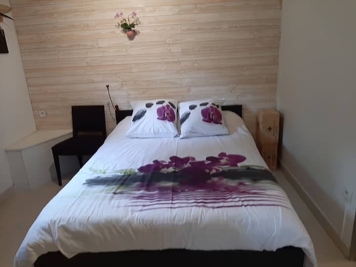 Chambre D'hôtes Indépendante Au Calme - Cestas