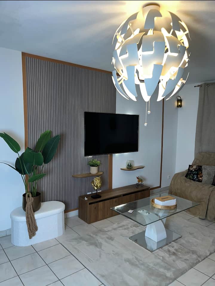 Grand Appart Cosy Et Bien Situé à Grenoble - Grenoble