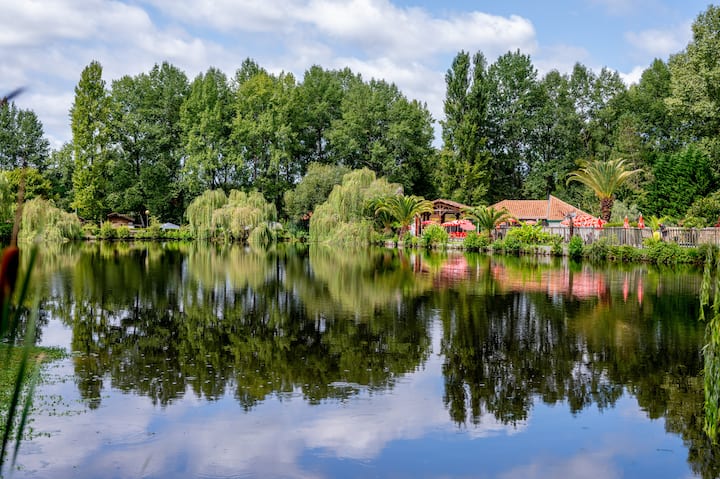 Mobil-home ÉCo-chic 3ch – 6 Pers La Comtesse - Peyrehorade