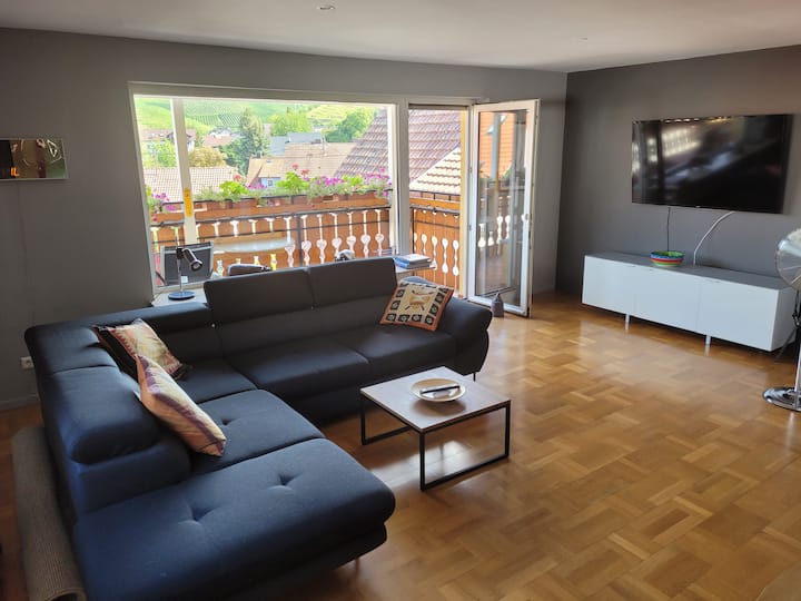 Moderne 3 Zimmer Wohnung In Offenburg - Gengenbach