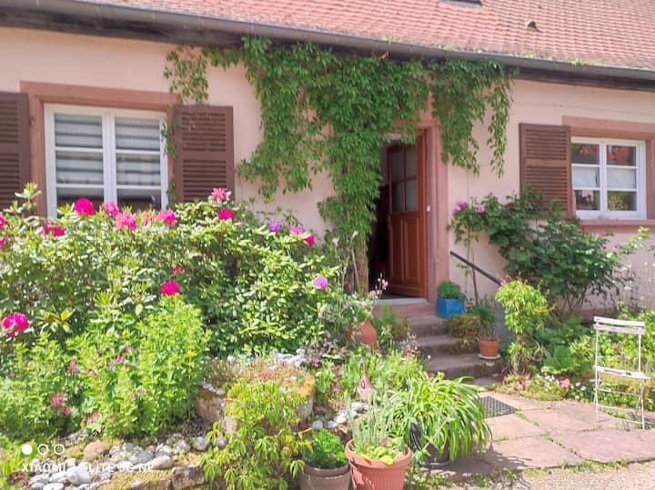 Logement De Charme Au Cœur De La Vallée De Villé - Albé