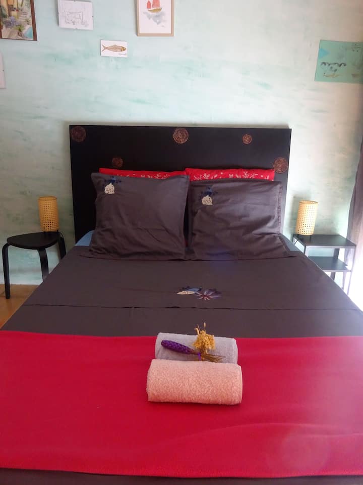 1ère Chambre Chez L'habitant - Gréoux-les-Bains